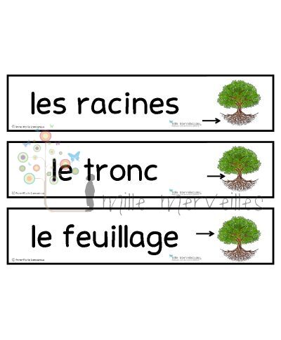 Home [millemerveilles.com]